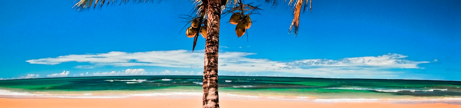 Puncte trecere frontiera Romania - Bulgaria